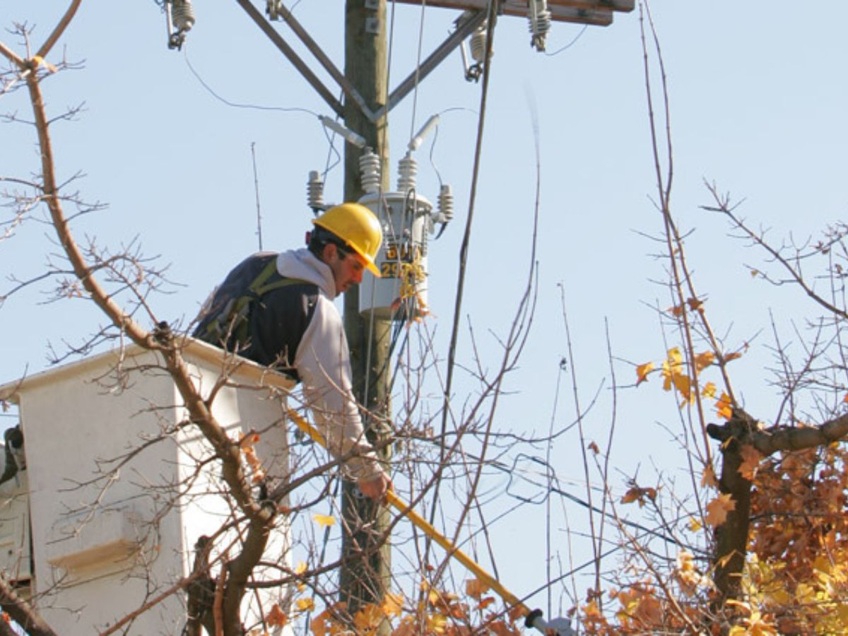 How Dangerous Is Line Clearance Tree Trimming?