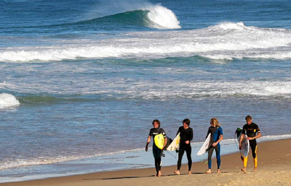 Things To Do in Wurtulla, QLD